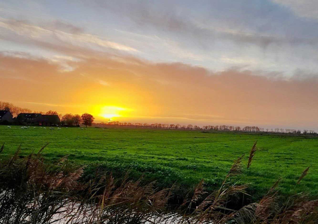 Gedicht van de maand november door Sabine Alders-du Bosc - DOK-C